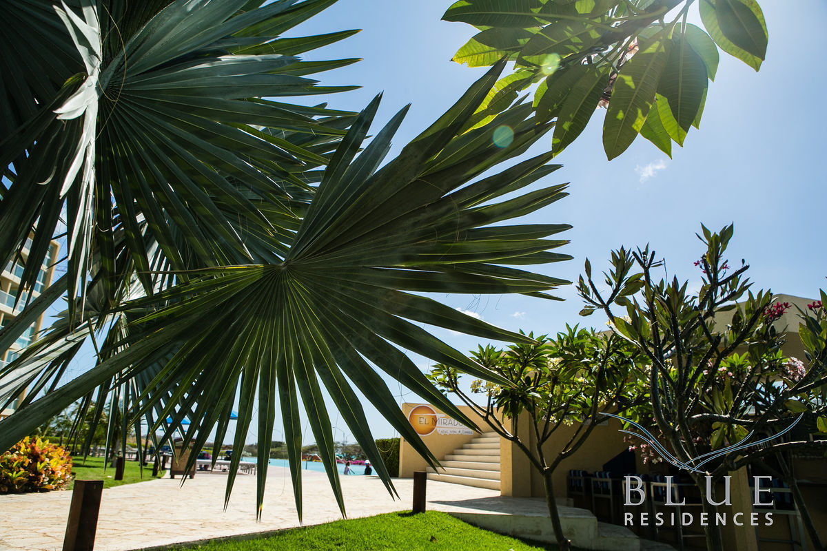 Aruba - Blue Residences - VisitAruba.com