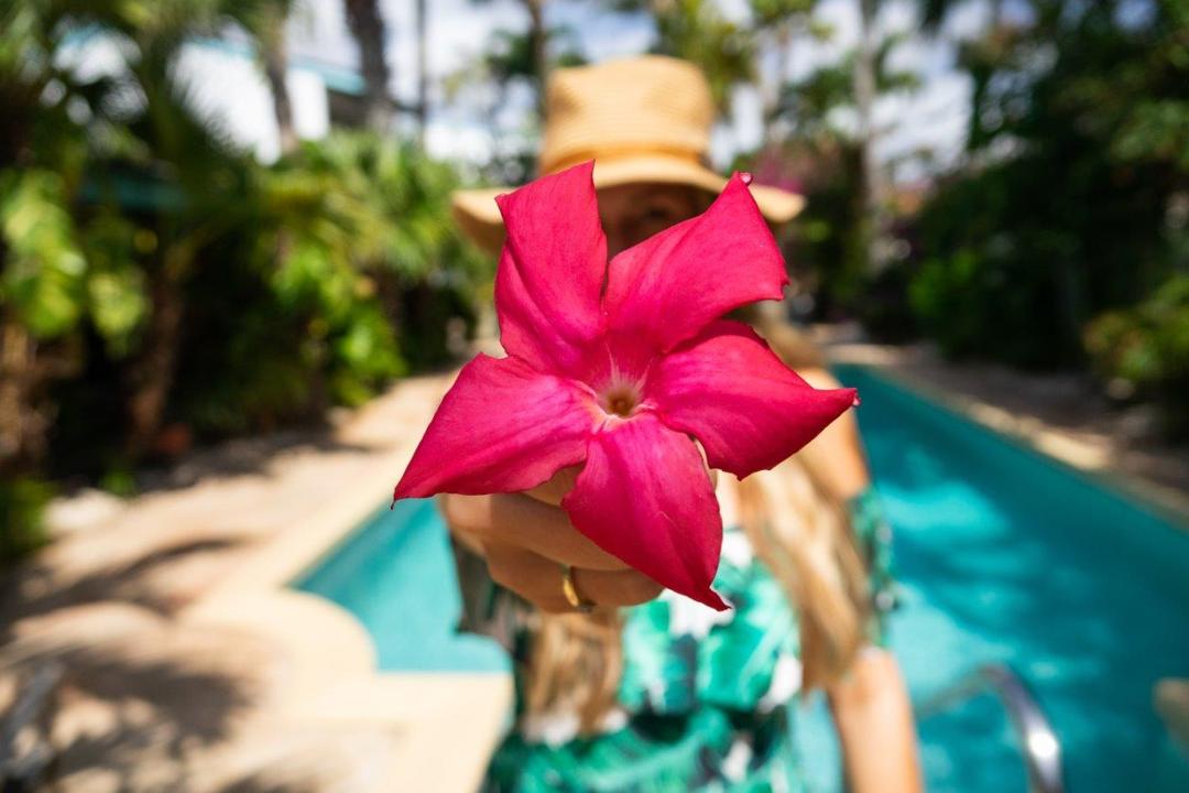 Aruba - Paradera Park - VisitAruba.com