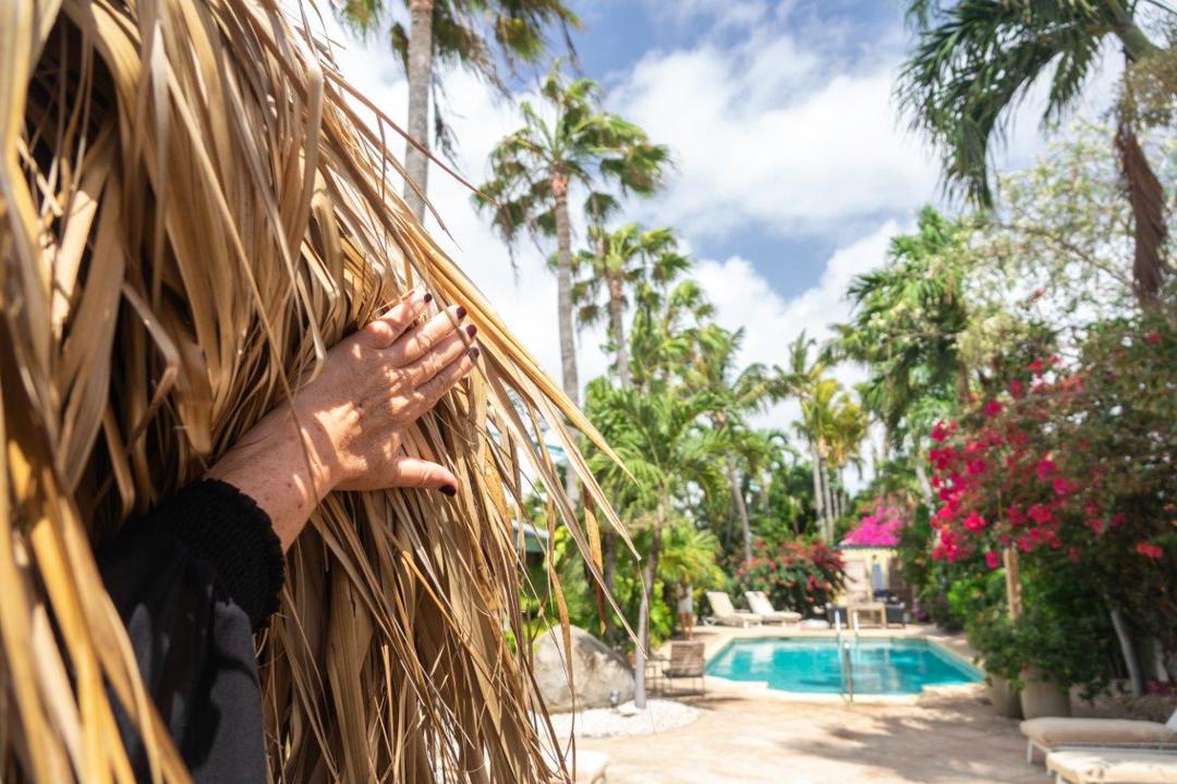 Aruba - Paradera Park - VisitAruba.com