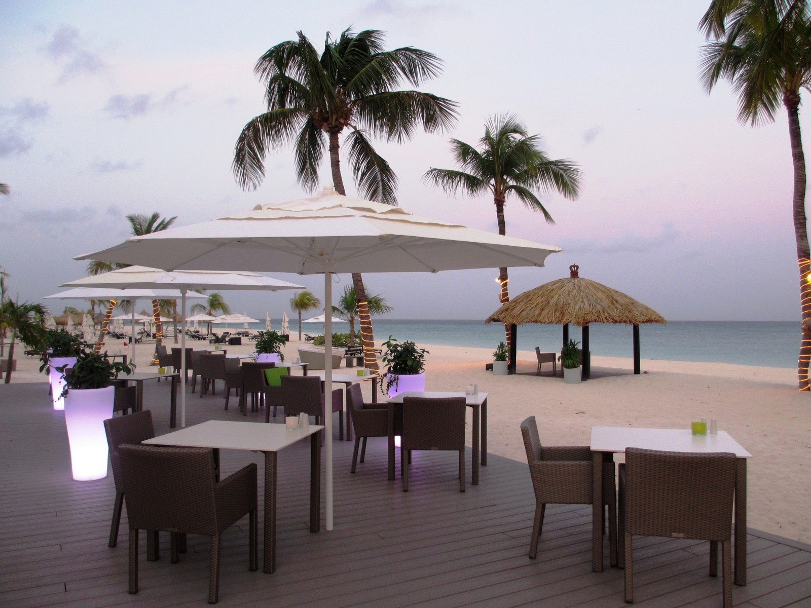 Aruba Restaurants - Elements Restaurant - VisitAruba.com