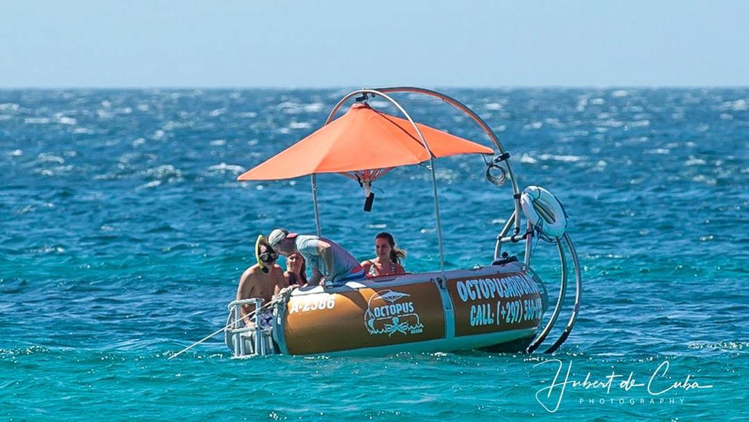 VisitAruba.com - Aqua Donut Private Boat - Octopus