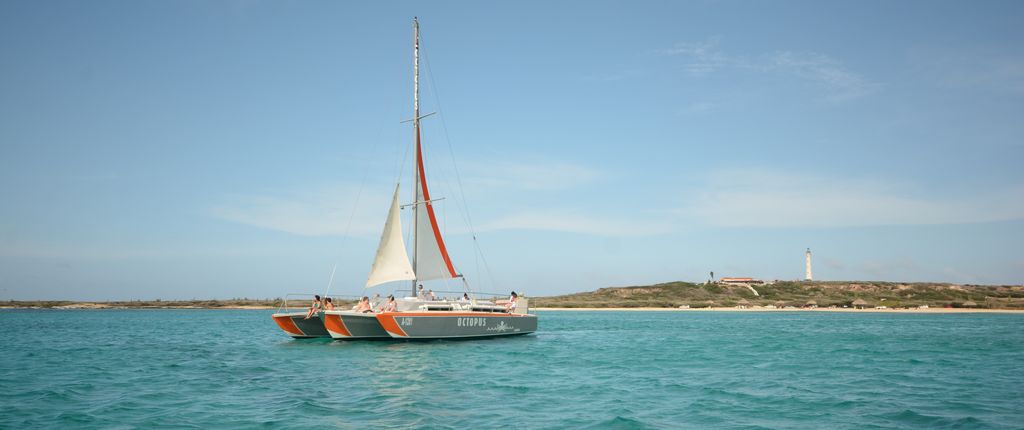 Octopus Sailing Aruba | VisitAruba.com