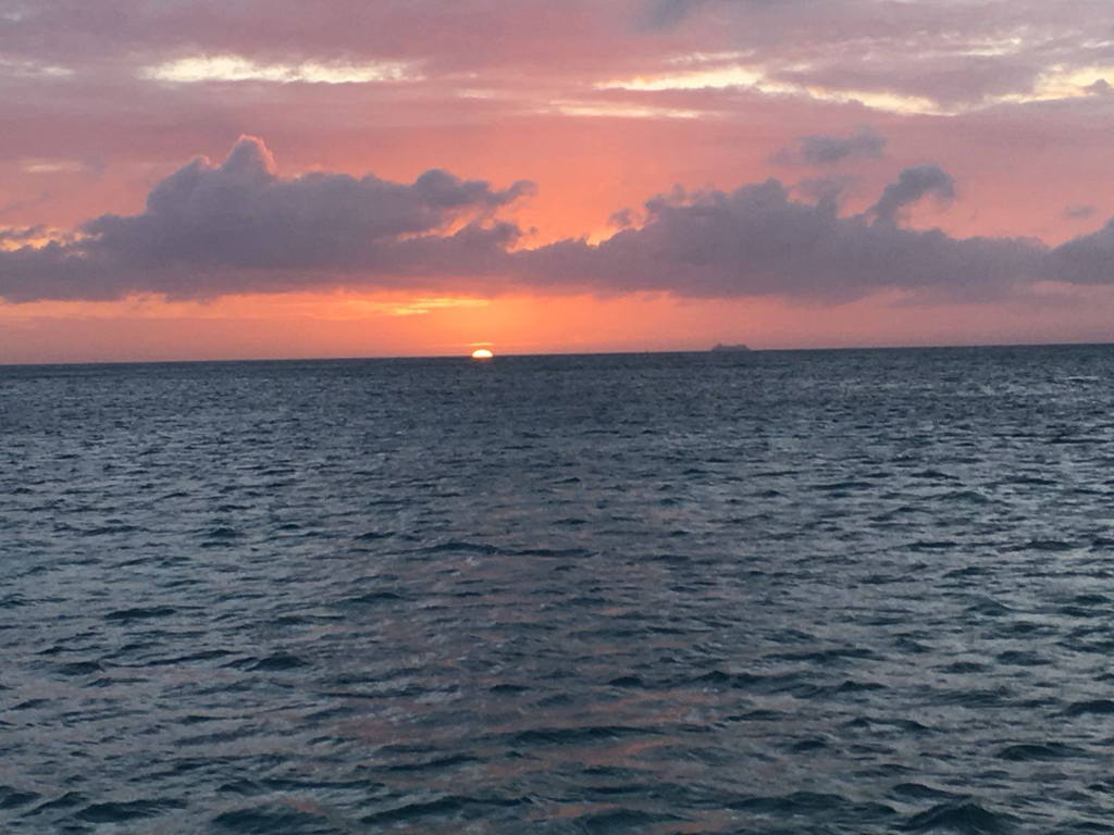 Octopus Sailing Aruba | VisitAruba.com