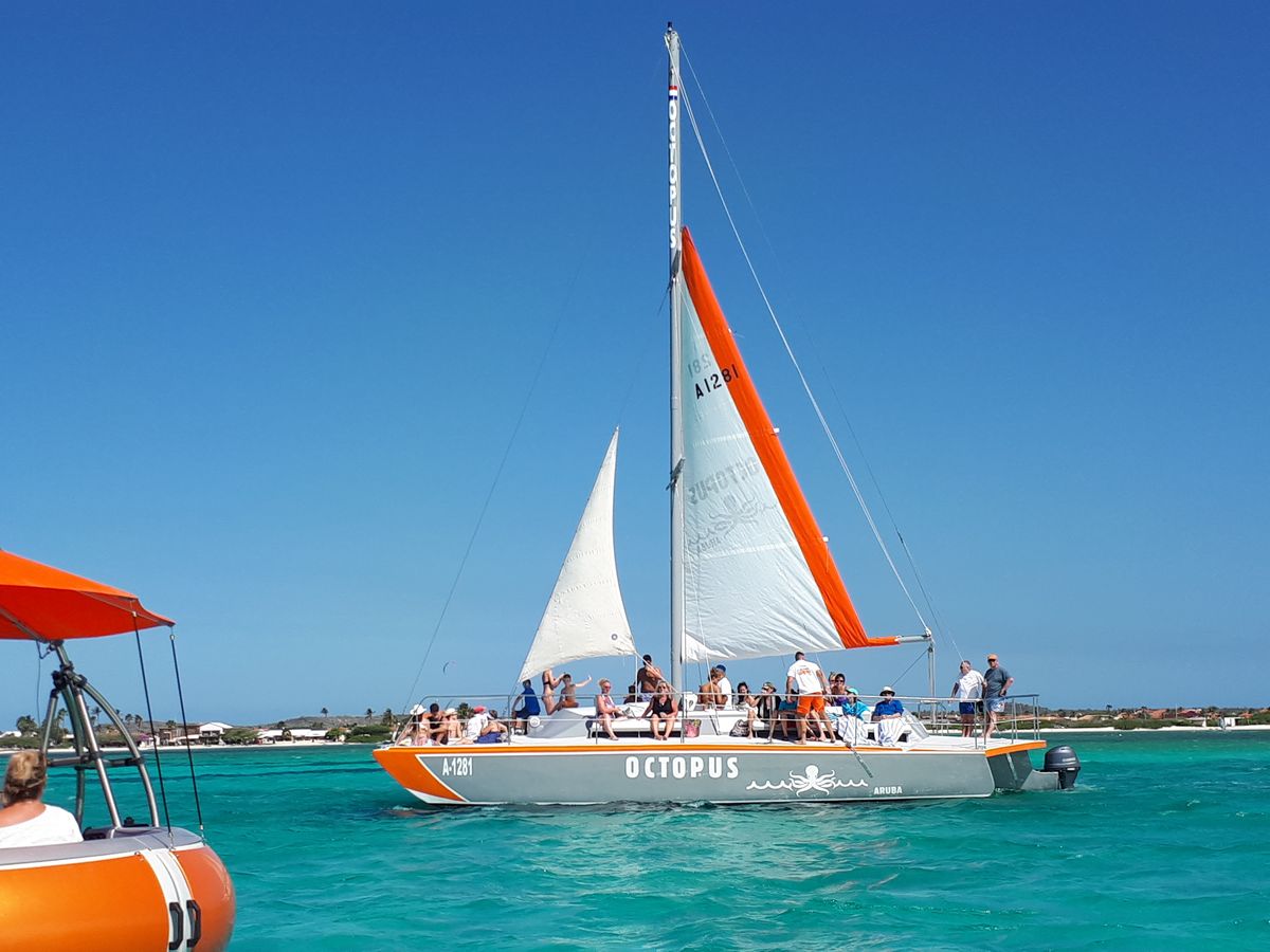 Octopus Sailing Aruba | VisitAruba.com