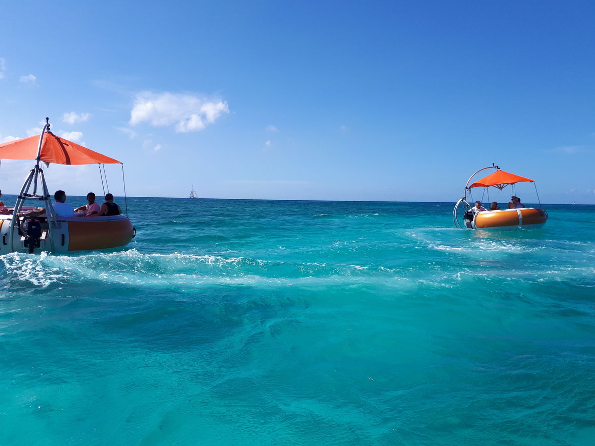 Octopus Sailing Aruba | VisitAruba.com