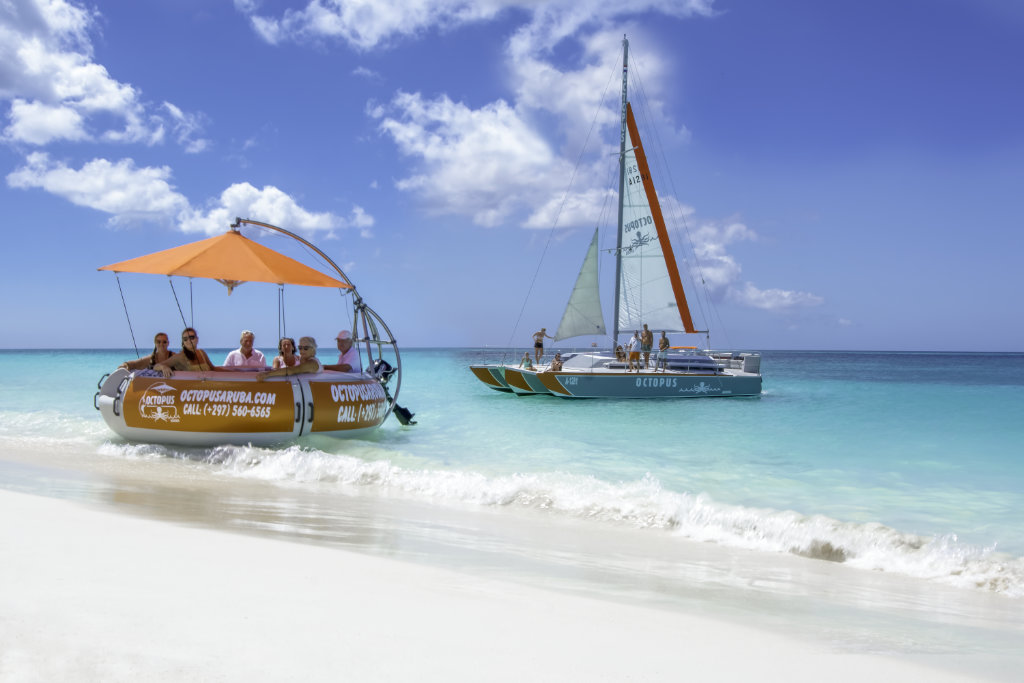 Octopus Sailing Aruba Visitaruba