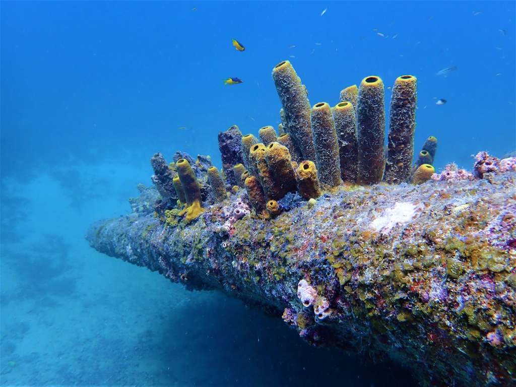 Antilla Shipwreck Tour - Seabob Aruba - VisitAruba.com