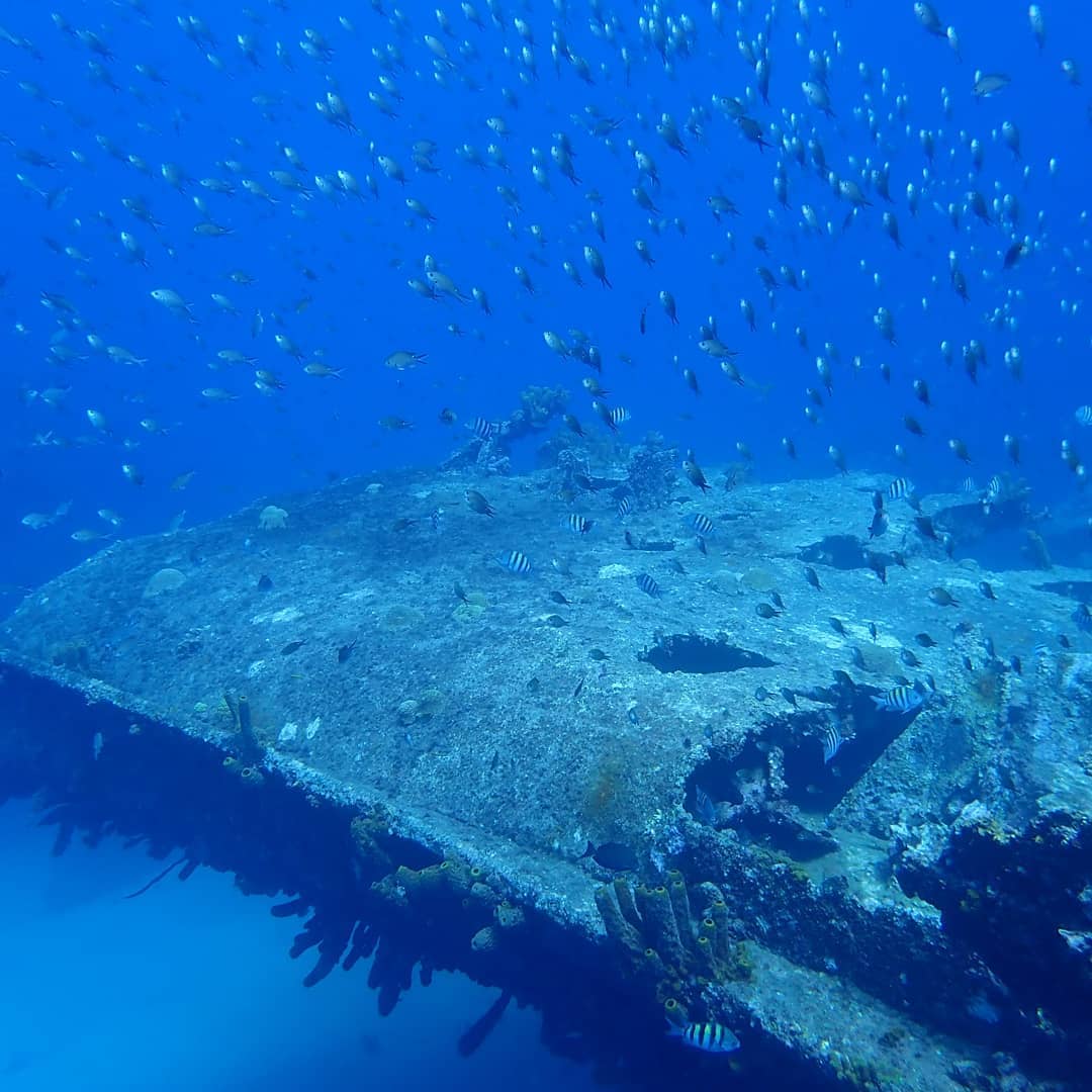 Antilla Shipwreck Tour - Seabob Aruba - VisitAruba.com