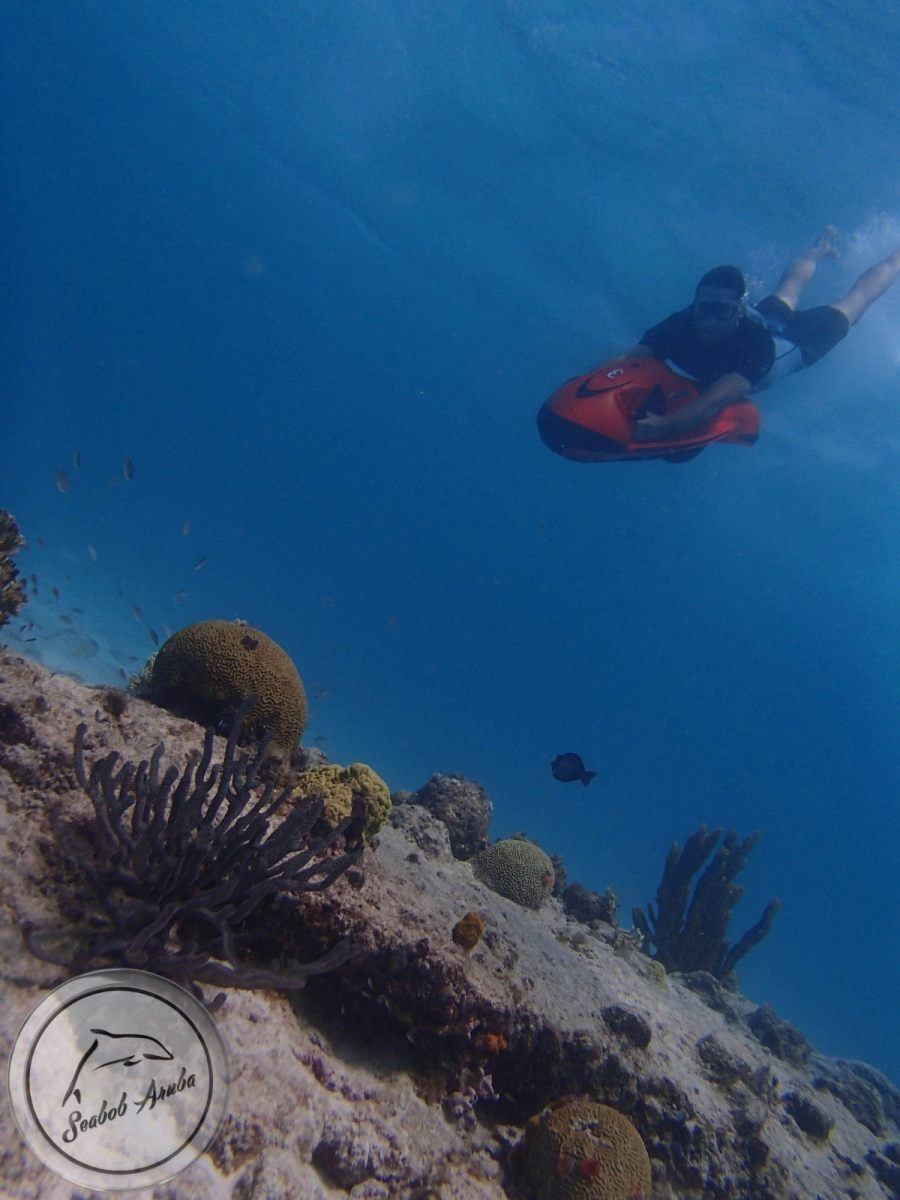 Seabob Aruba - Underwater scooter tours - VisitAruba.com
